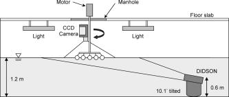 Potential for application of an acoustic camera in particle tracking ...