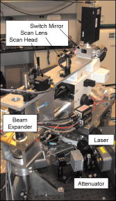 Microbeam-integrated multiphoton imaging system | Review of Scientific ...