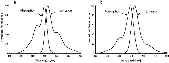 Development of a compact optical system for microarray scanning using a ...
