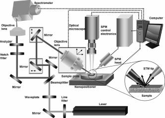 Tip-enhanced near-field Raman spectroscopy with a scanning tunneling ...