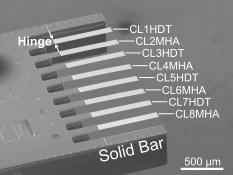 Analyzing refractive index changes and differential bending in microcantilever arrays | Review ...