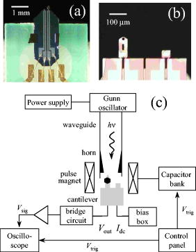 High-frequency electron spin resonance system using a microcantilever ...