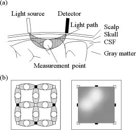 Development of wearable optical topography system for mapping the ...