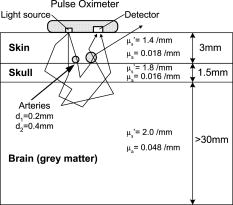 Adjustable fetal phantom for pulse oximetry | Review of Scientific ...