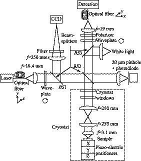 High spatial resolution confocal microscope with independent excitation and detection scanning ...