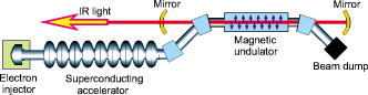 Terahertz-range free-electron laser electron spin resonance ...