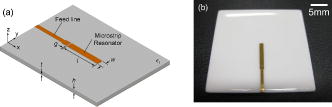 Microstrip resonators for electron paramagnetic resonance experiments ...