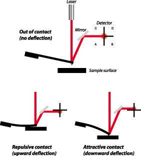 How to measure forces with atomic force microscopy without significant ...
