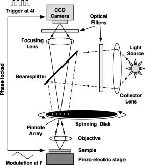 High contrast, depth-resolved thermoreflectance imaging using a Nipkow disk confocal microscope ...