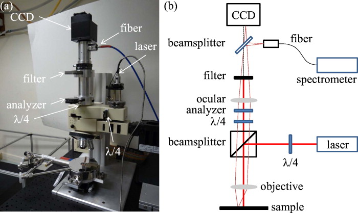 Circularly polarized luminescence microscopy for the imaging of charge ...
