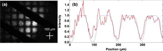 Monochromatic x-ray radiography for areal-density measurement of ...