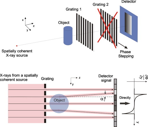 Hard x-ray phase contrast imaging using single absorption grating and ...