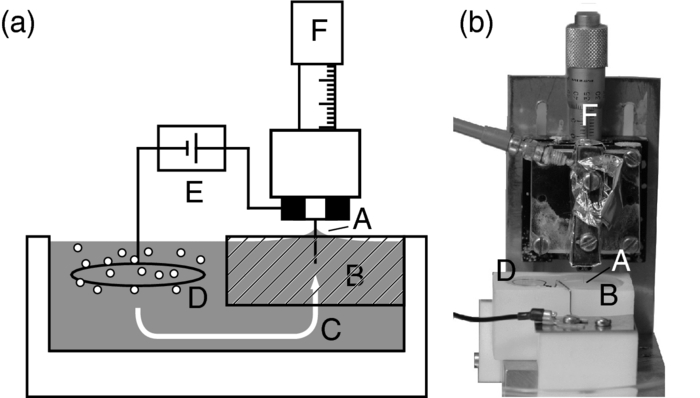 Refined tip preparation by electrochemical etching and ultrahigh vacuum treatment to obtain ...