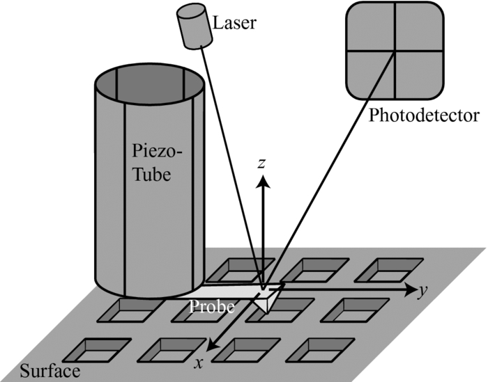 Modeling scanning probe microscope lateral dynamics using the probe ...