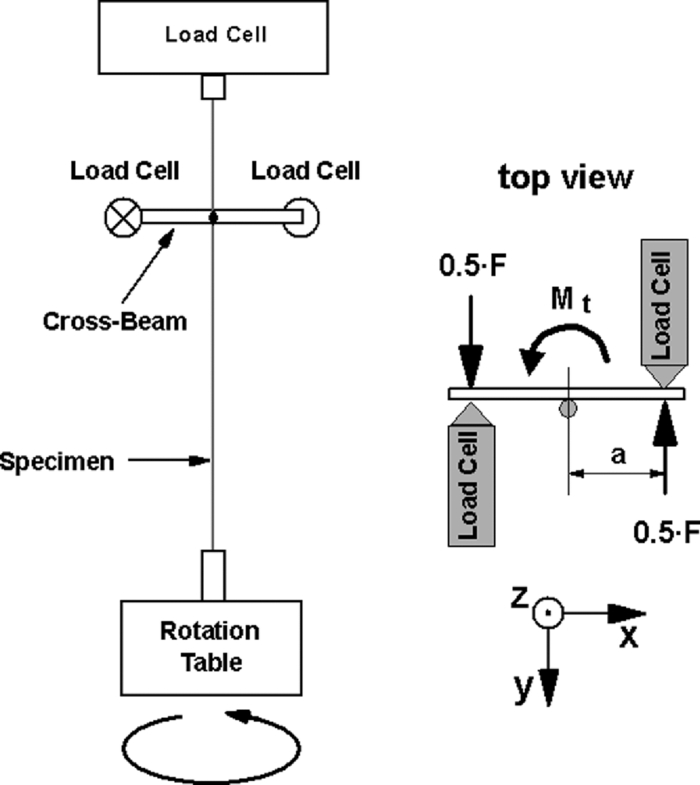 A new method to measure torsion moments on small-scaled specimens ...