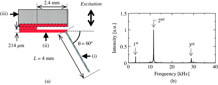 Angled long tip to tuning fork probes for atomic force microscopy in ...