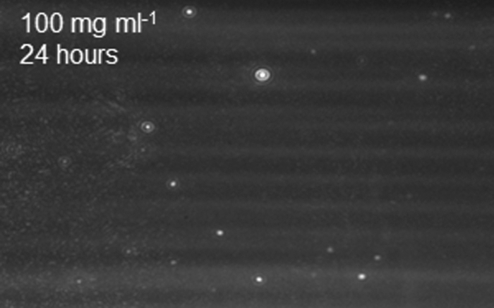 The use of dynamic light scattering and Brownian microscopy to ...