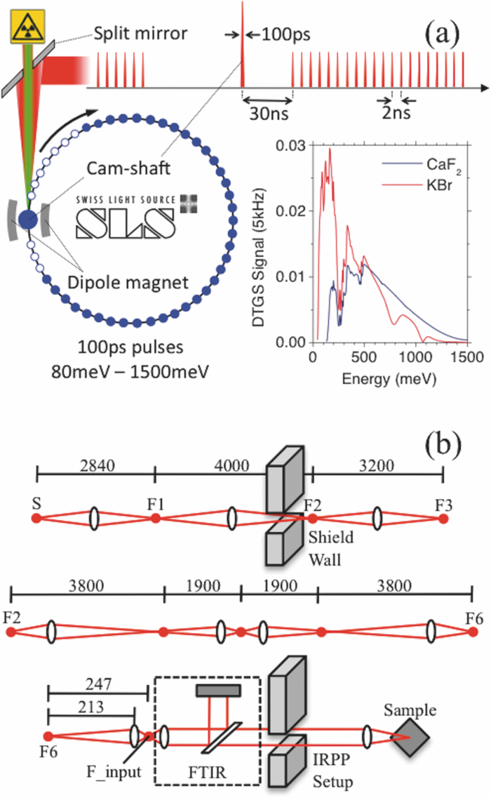 Ultra-broadband infrared pump-probe spectroscopy using synchrotron ...