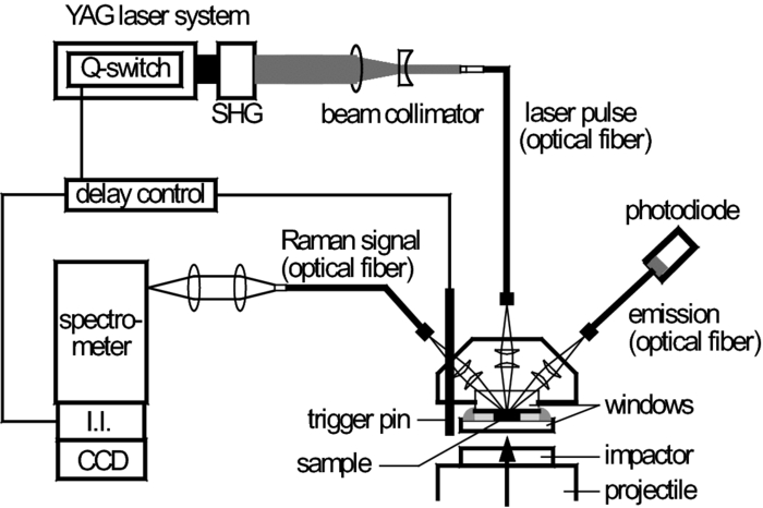 High spectral resolution, real-time, Raman spectroscopy in shock ...