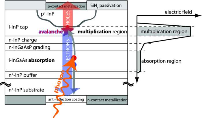 Fully programmable single-photon detection module for InGaAs/InP single ...