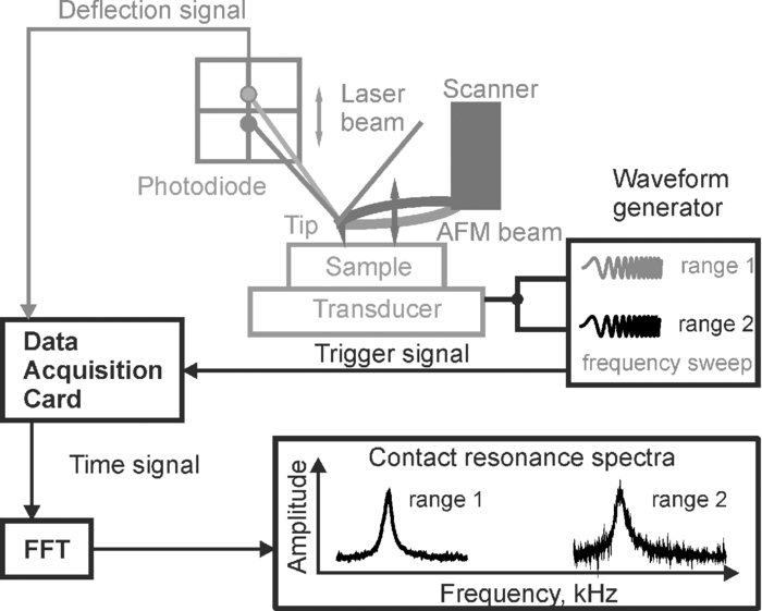 Dual resonance excitation system for the contact mode of atomic force ...