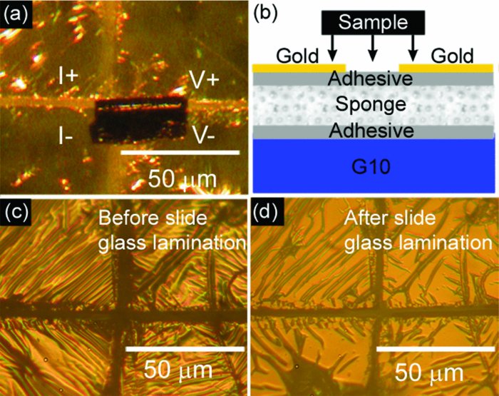 Note: Adhesive stamp electrodes using spider silk masks for electronic ...