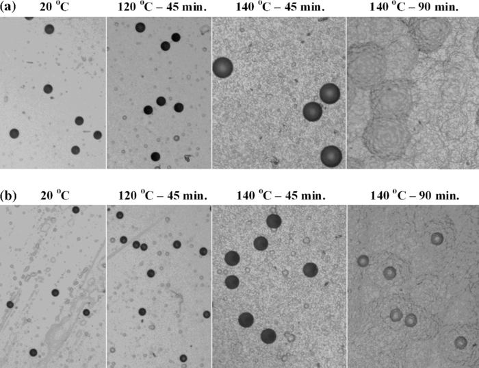 Influence of high temperature on solid state nuclear track detector ...