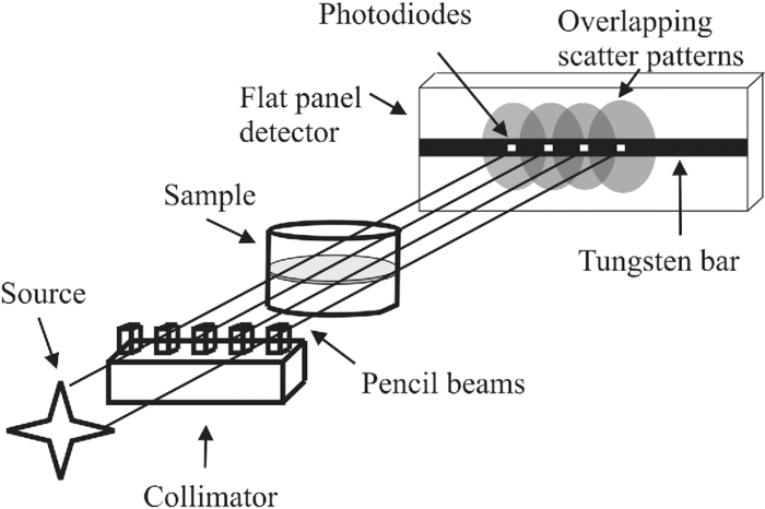Synchrotron-based coherent scatter x-ray projection imaging using an ...