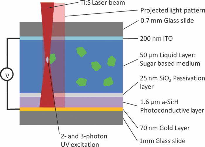 Optofluidic cell manipulation for a biological microbeam | Review of ...