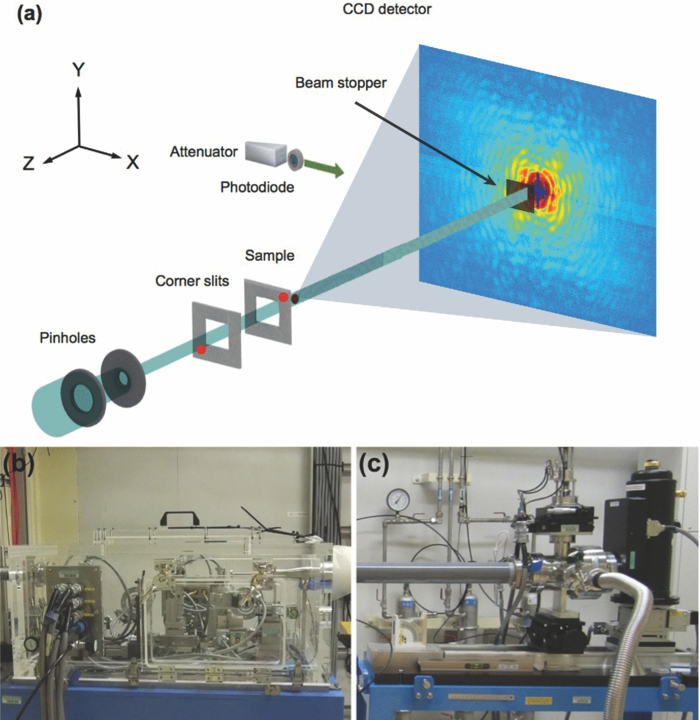 Development of an adaptable coherent x-ray diffraction microscope with ...