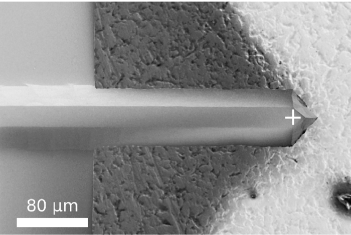 Accurate Spring Constant Calibration For Very Stiff Atomic Force Microscopy Cantilevers Review