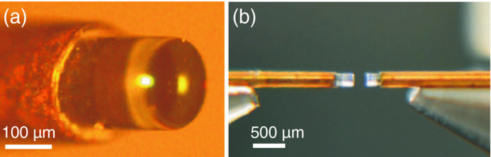Integrated fiber-mirror ion trap for strong ion-cavity coupling ...