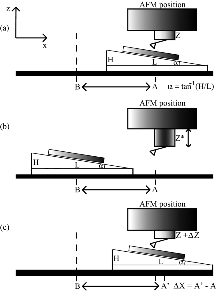 Fast and gentle side approach for atomic force microscopy | Review of ...