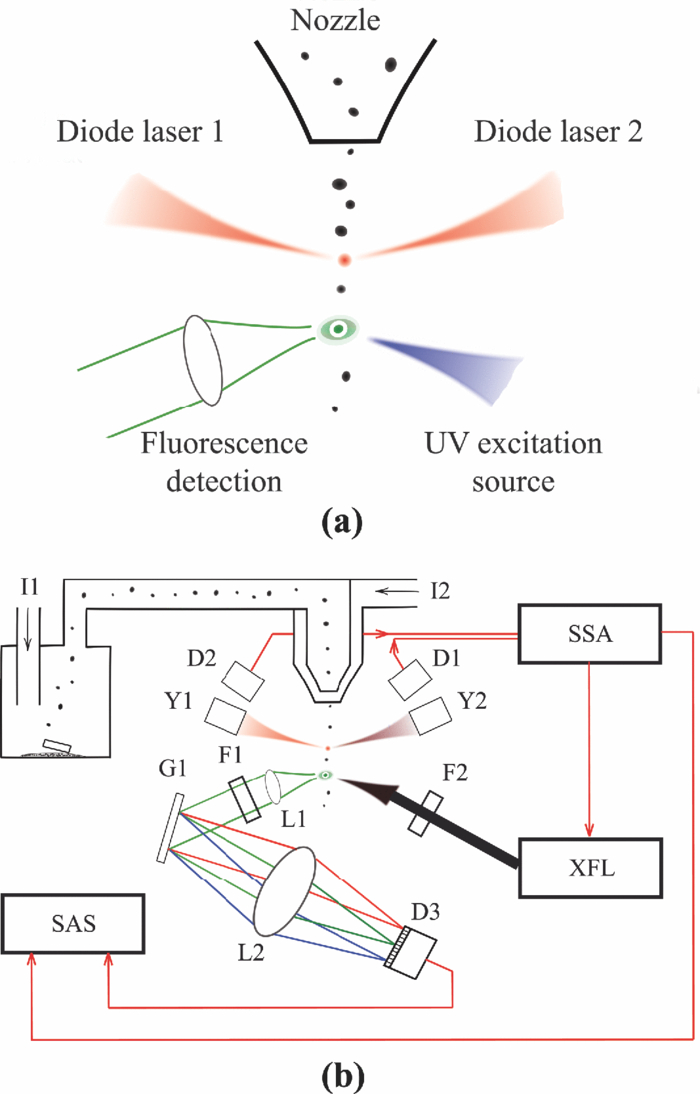 A flash-lamp based device for fluorescence detection and identification ...