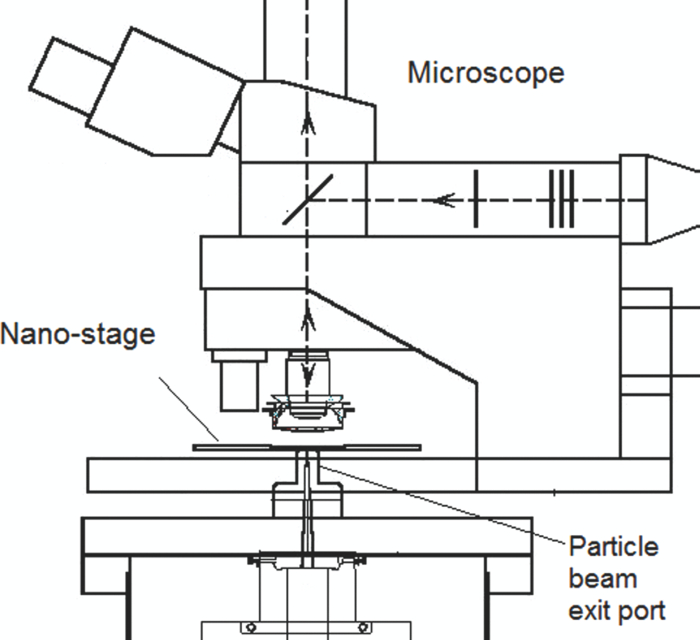 Simultaneous immersion Mirau interferometry | Review of Scientific ...