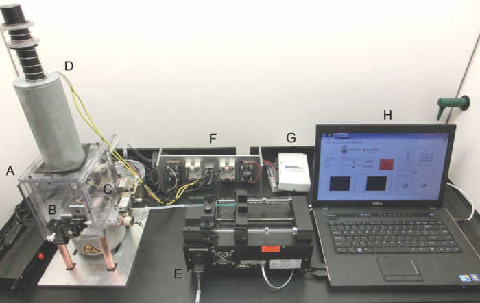 A platform for retaining native morphology at sub-second time scales in ...