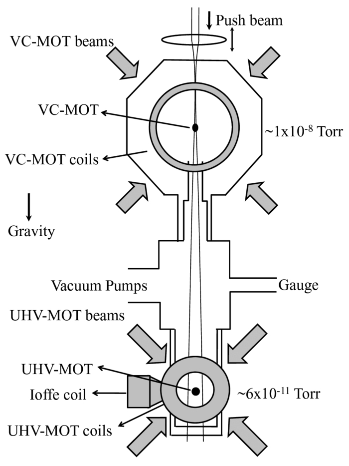 Push beam spot-size dependence of atom transfer in a double magneto ...