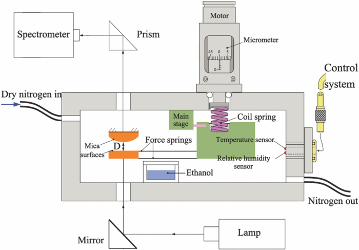 Imaging the condensation and evaporation of molecularly thin ethanol ...