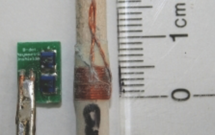 Comparison of magnetic probe calibration at nano and millitesla ...
