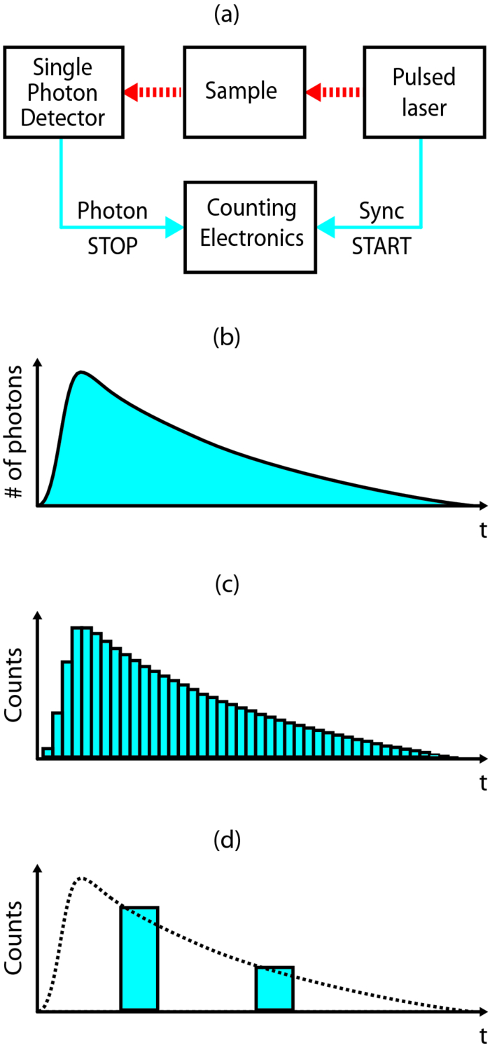 High-throughput gated photon counter with two detection windows ...