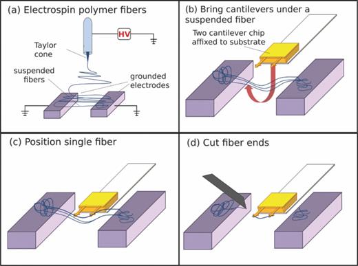 Measuring thermal conductivity of polystyrene nanowires using the dual ...