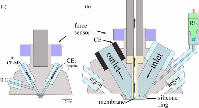 Coupling of a scanning flow cell with online electrochemical mass ...