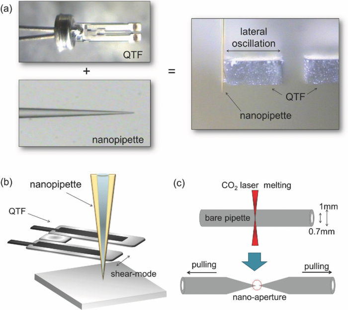 Nanopipette combined with quartz tuning fork-atomic force microscope ...