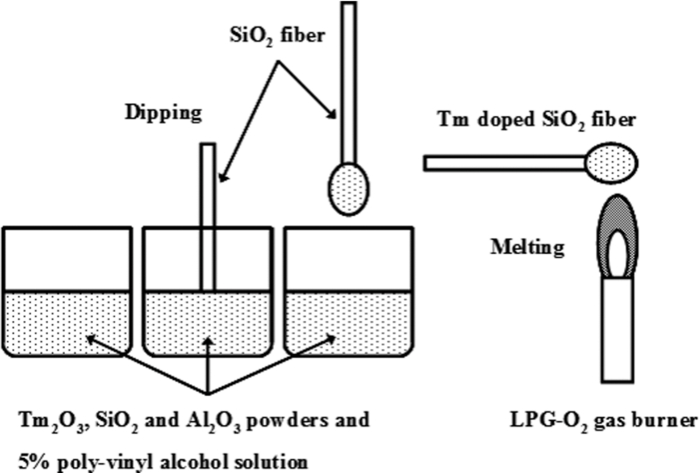 Fiber-optic thermometry using thermal radiation from Tm end doped SiO2 ...