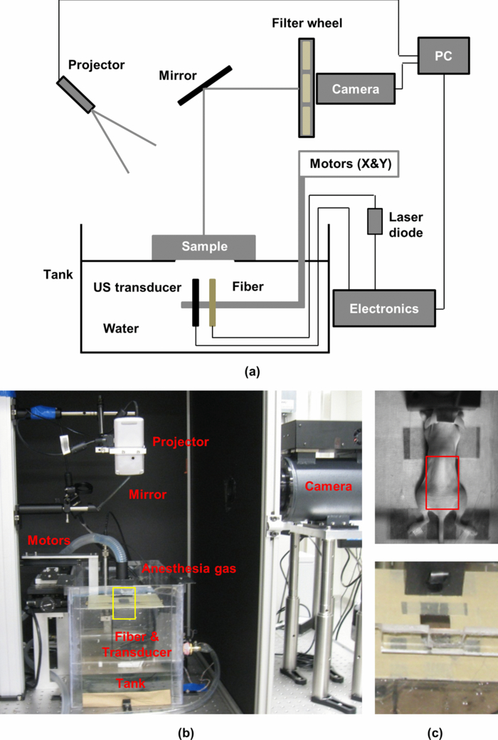Ultrasound guided fluorescence molecular tomography with improved ...