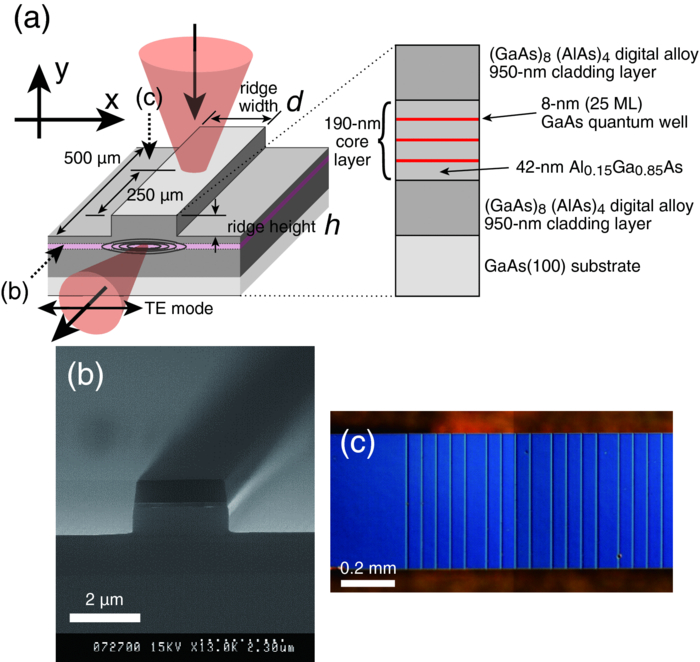Mode imaging and loss evaluation of semiconductor waveguides | Review ...