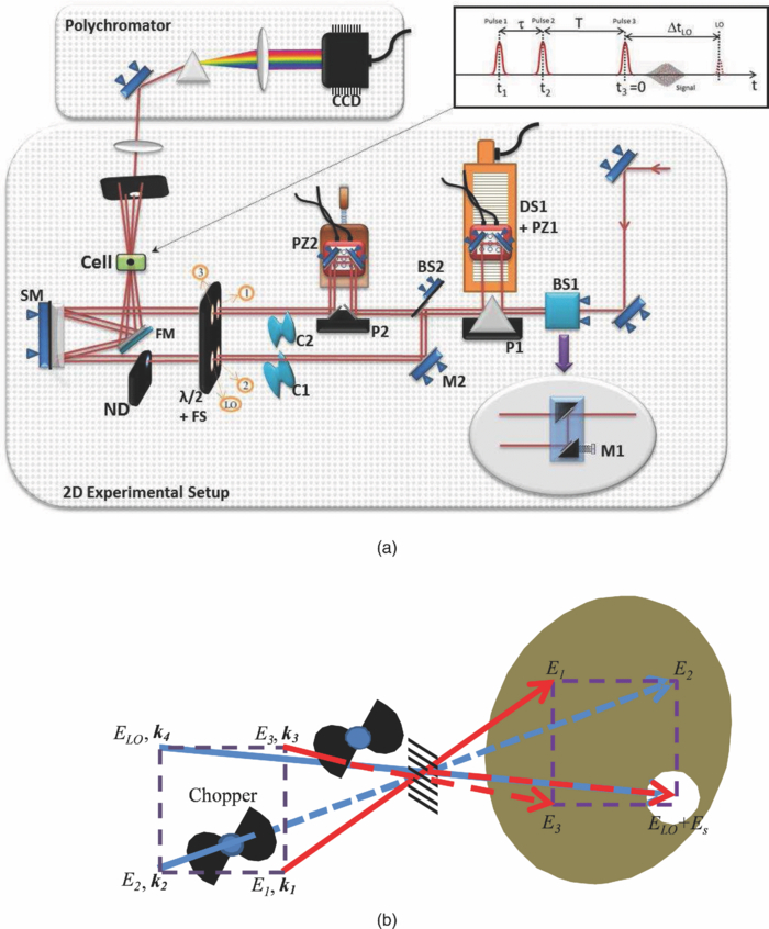 Two-dimensional electronic spectroscopy based on conventional optics ...
