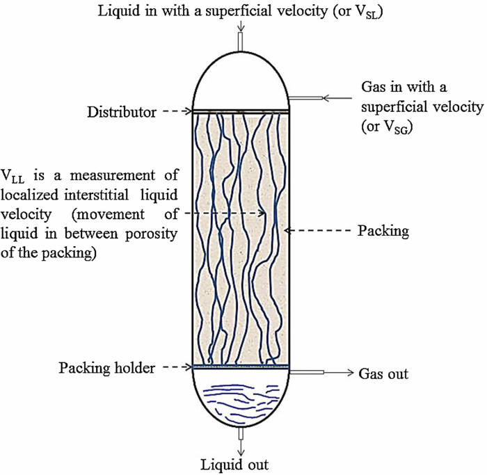 X-ray digital industrial radiography (DIR) for local liquid velocity ...