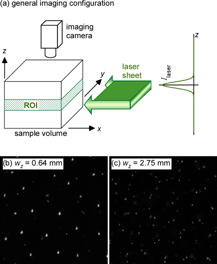 Characterization of three-dimensional structure using images | Review ...