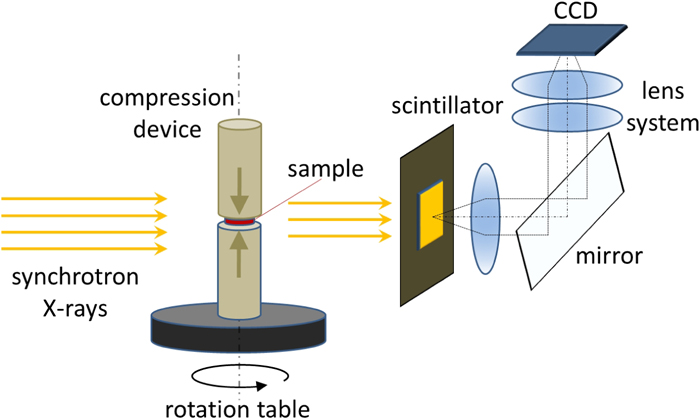 A dedicated compression device for high resolution X-ray tomography of ...